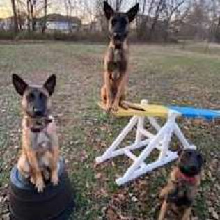 Red Woof Lodge | Evansville, IN