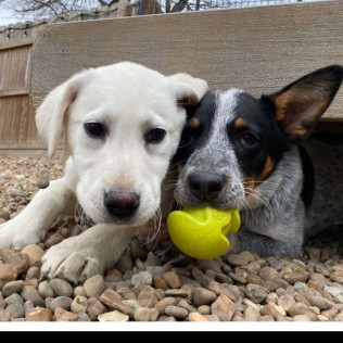 Red Woof Lodge | Evansville, IN